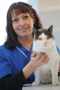 Vår personal som tar hand om ditt djur | Din Veterinär